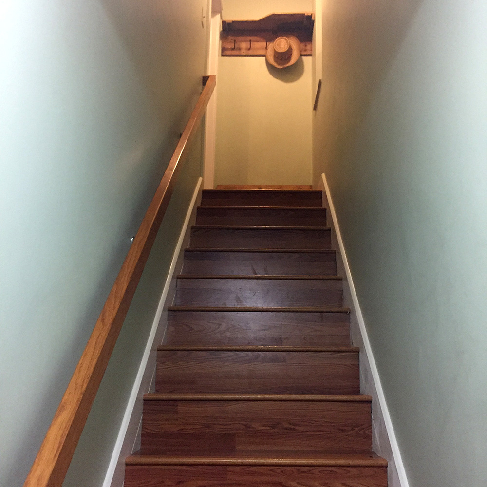 COME STAY WITH US | Tikkun Farm